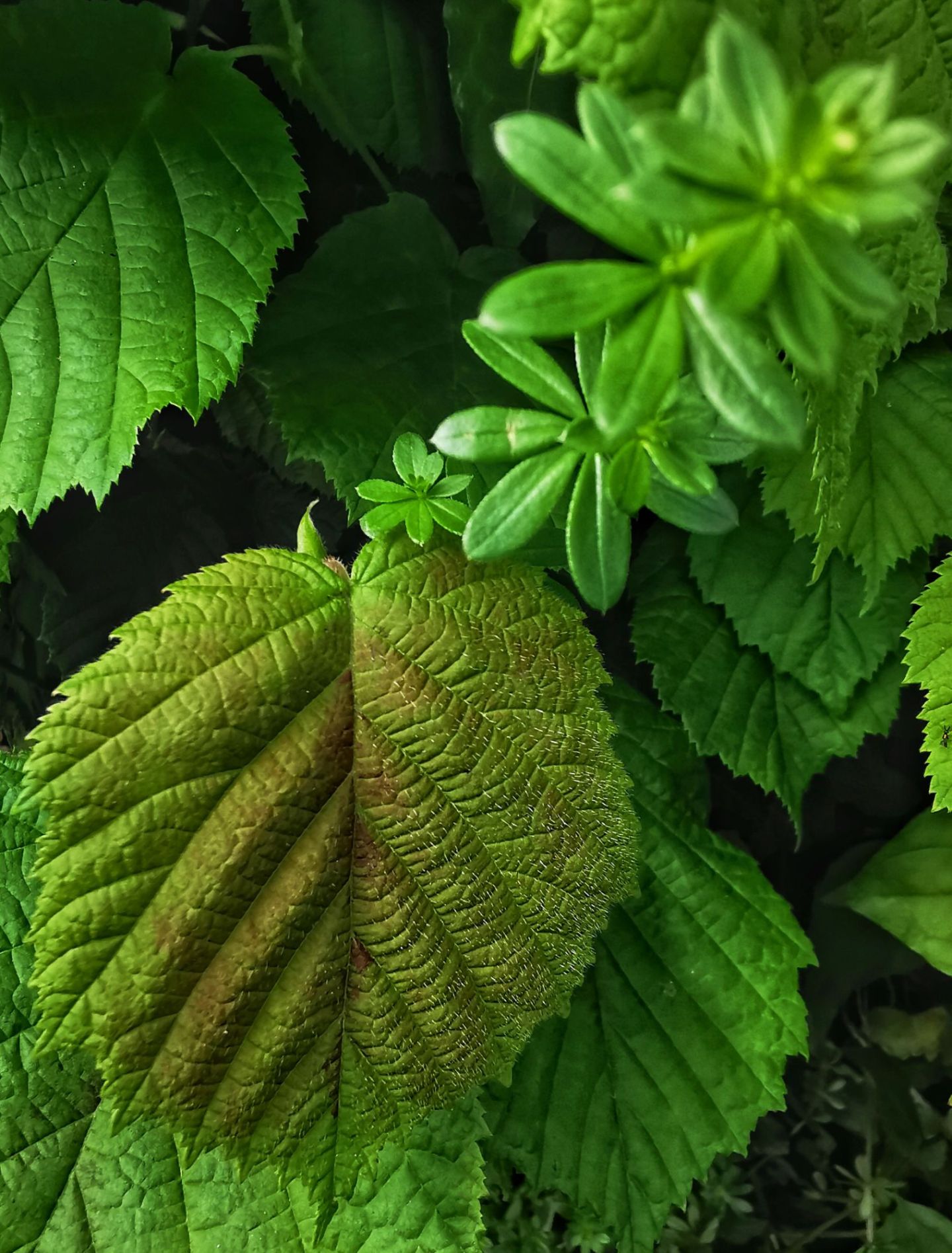 Single point focus on joy – The View at 72+